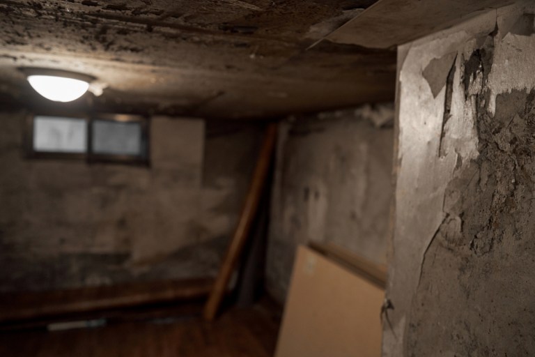 Musty Smell in the Basement? Causes + Solutions
