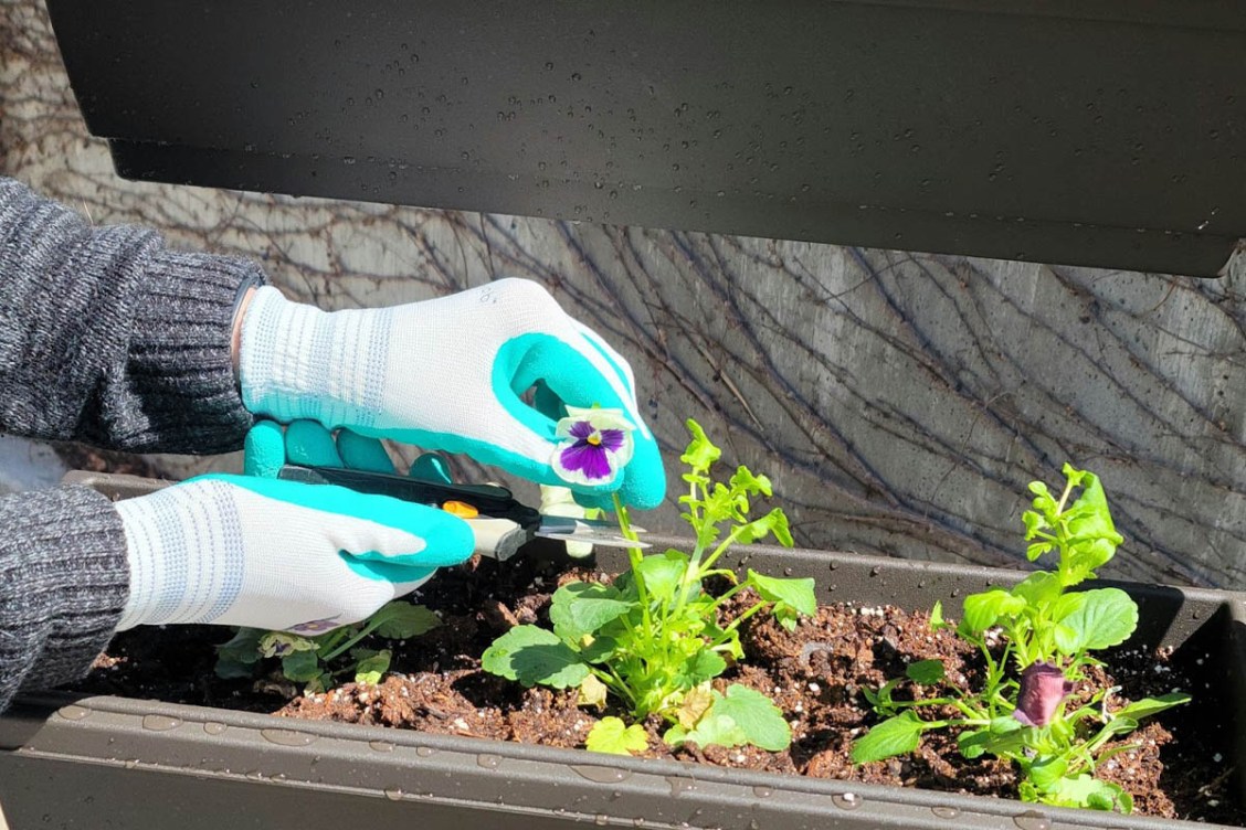 The Best Gardening Gloves Tested for Comfort, Grip, and Protection