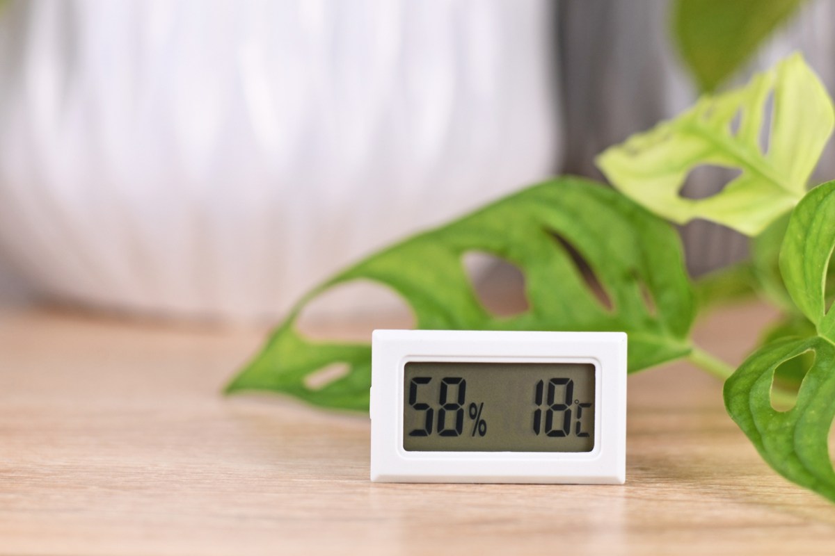 What Should the Humidity Be in My House? - Bob Vila