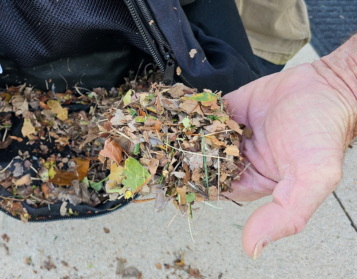 Don't Rake Your Leaves—Do This Instead