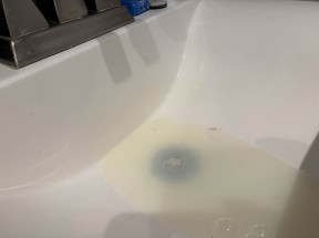 The Best Drain Cleaners - Tested by Bob Vila