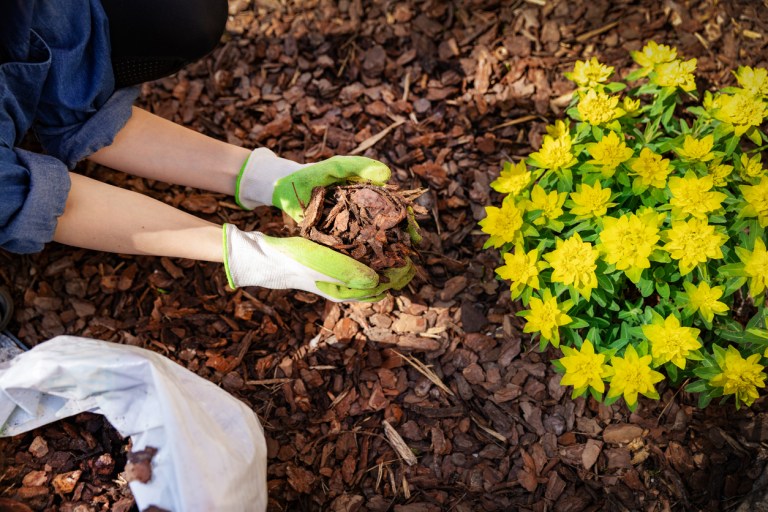 How to Make Your Own Mulch (Project Summary) - Bob Vila