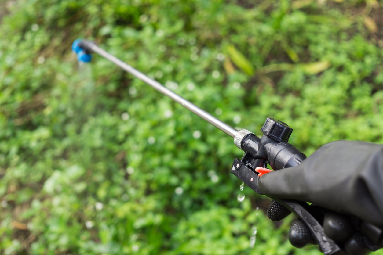 Spraying Insecticide: 6 Things to Know Before You Start - Bob Vila