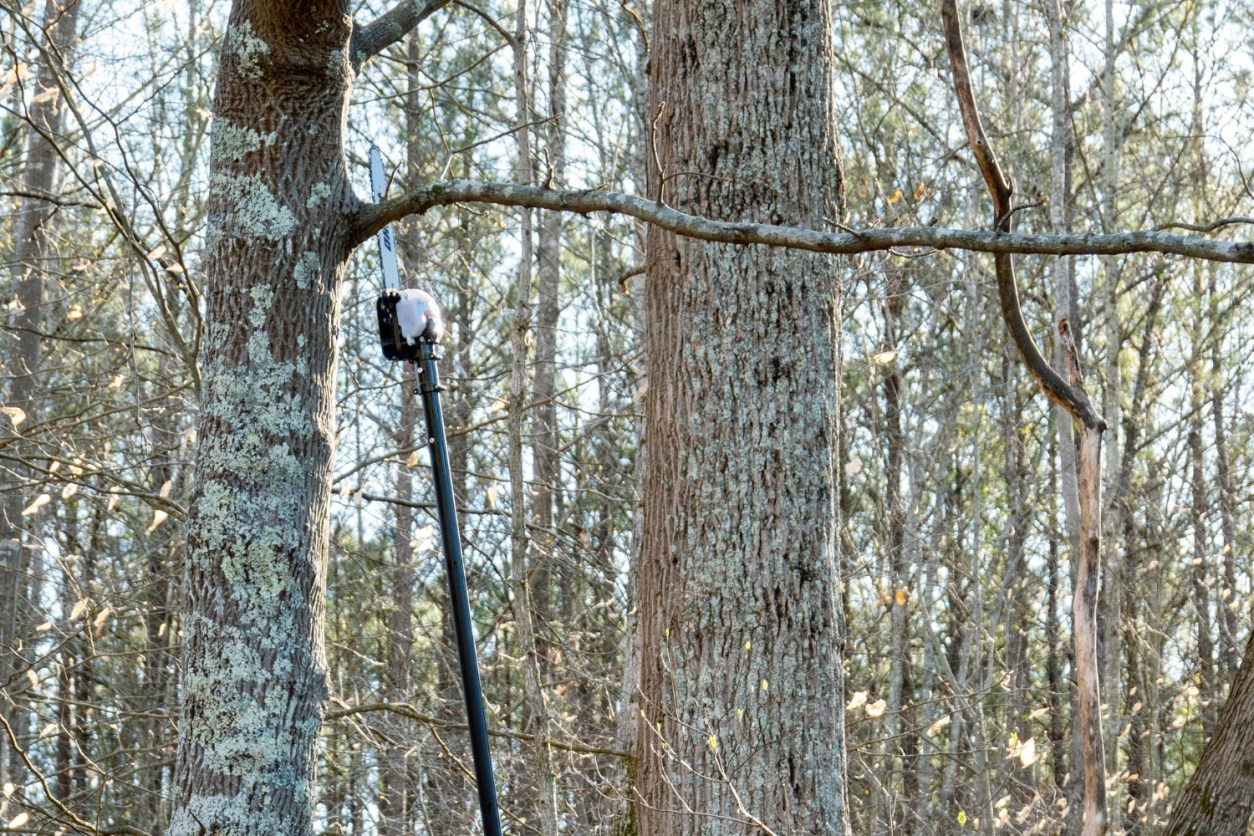 Testing the 10 Best Pole Saws For Trimming and Pruning Trees