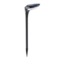 The Best Solar Path Lights of 2025, According to Testing