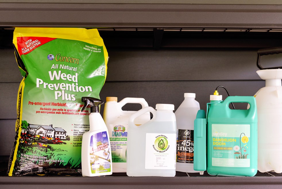 The 6 Best Weed Killers from Our Hands-On Tests