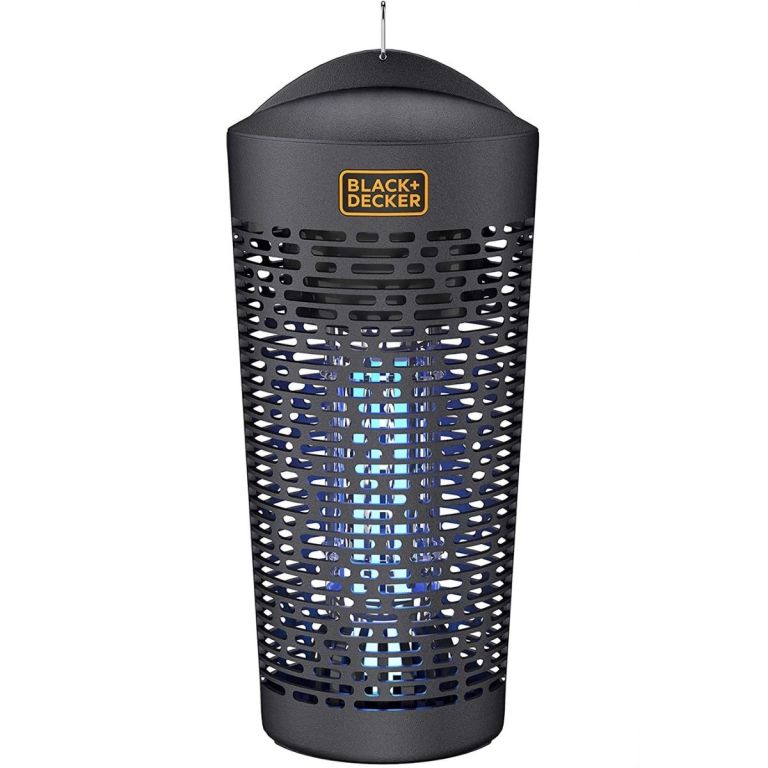 The Best Fly Traps of for Dealing with Pests, Vetted