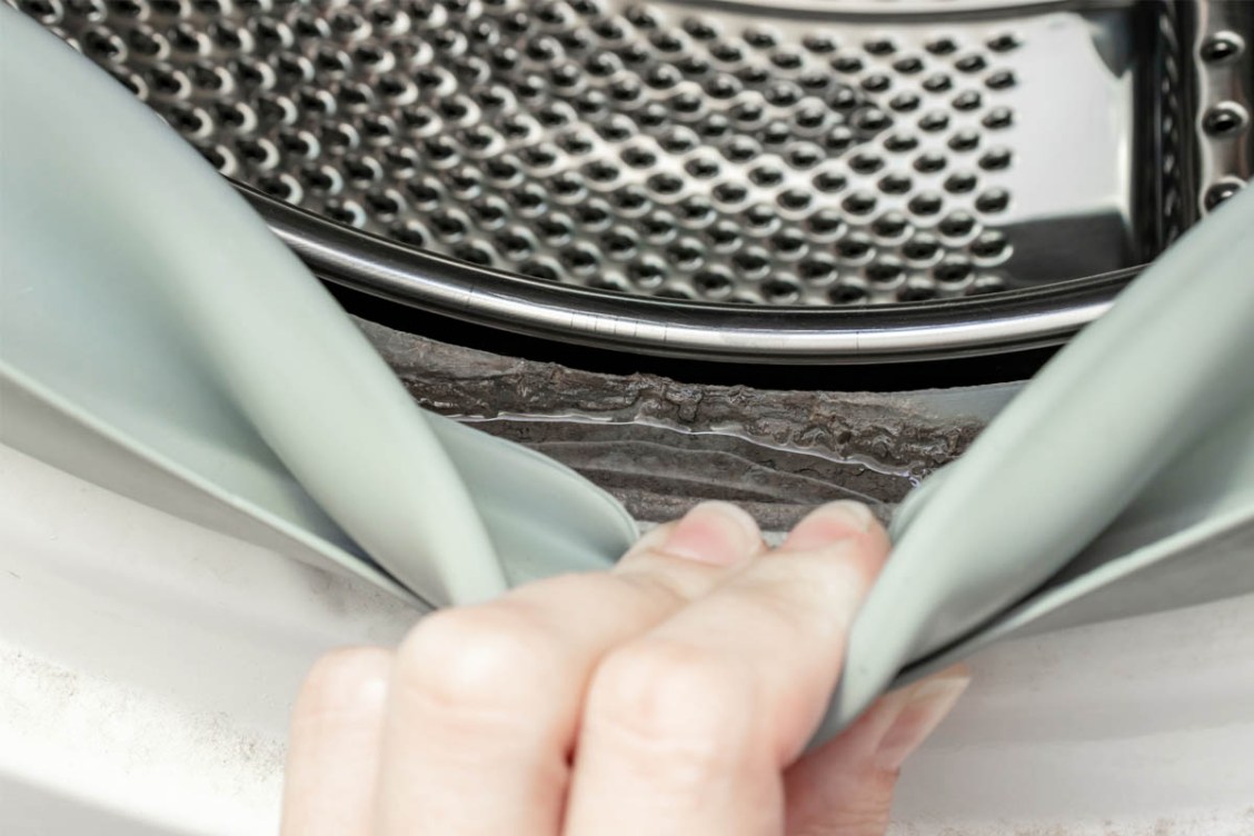 What to Do About Mold in the Washing Machine
