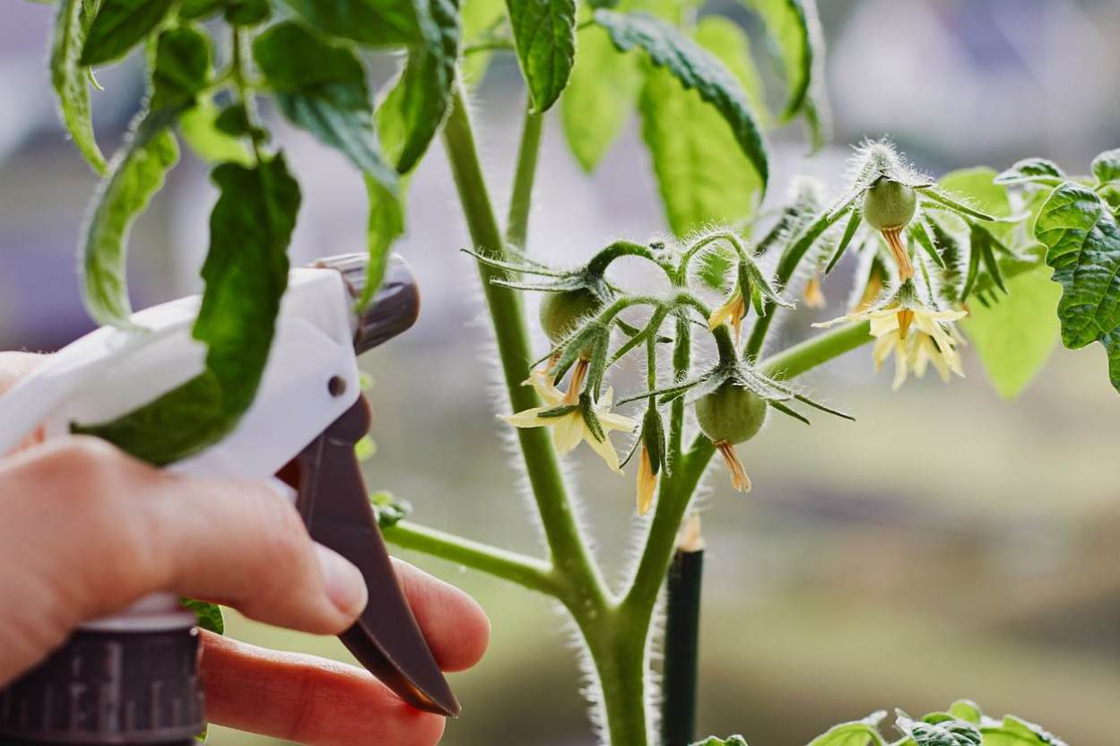 12 Indoor Gardening Tips for the Best Success - Bob Vila
