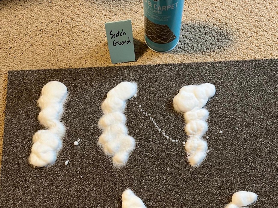 The Best Carpet Stain Removers - Tested by Bob Vila