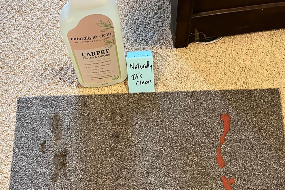 The Best Carpet Stain Removers - Tested by Bob Vila