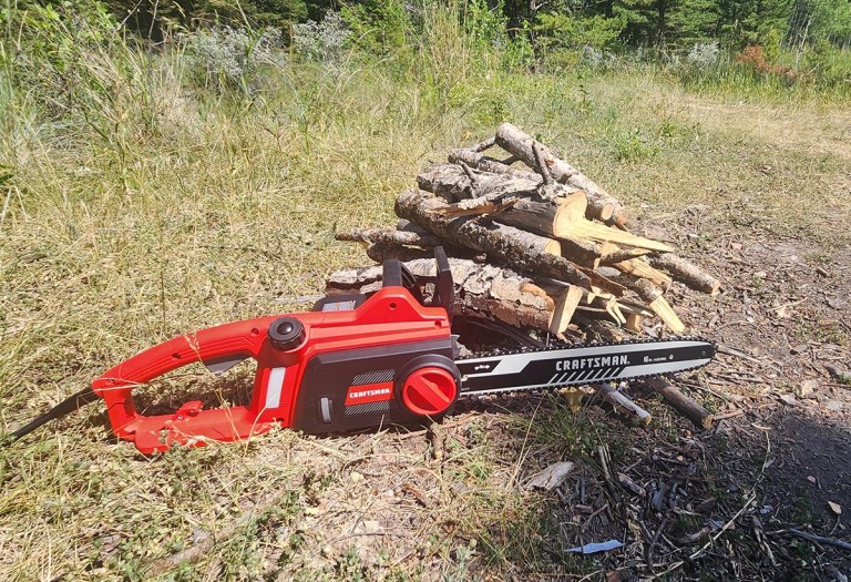 We Tested the Best Chainsaw Options, See Our Top Picks