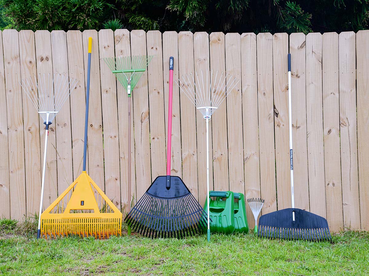 The Best Leaf Rakes to Keep Your Yard Beautiful, Tested