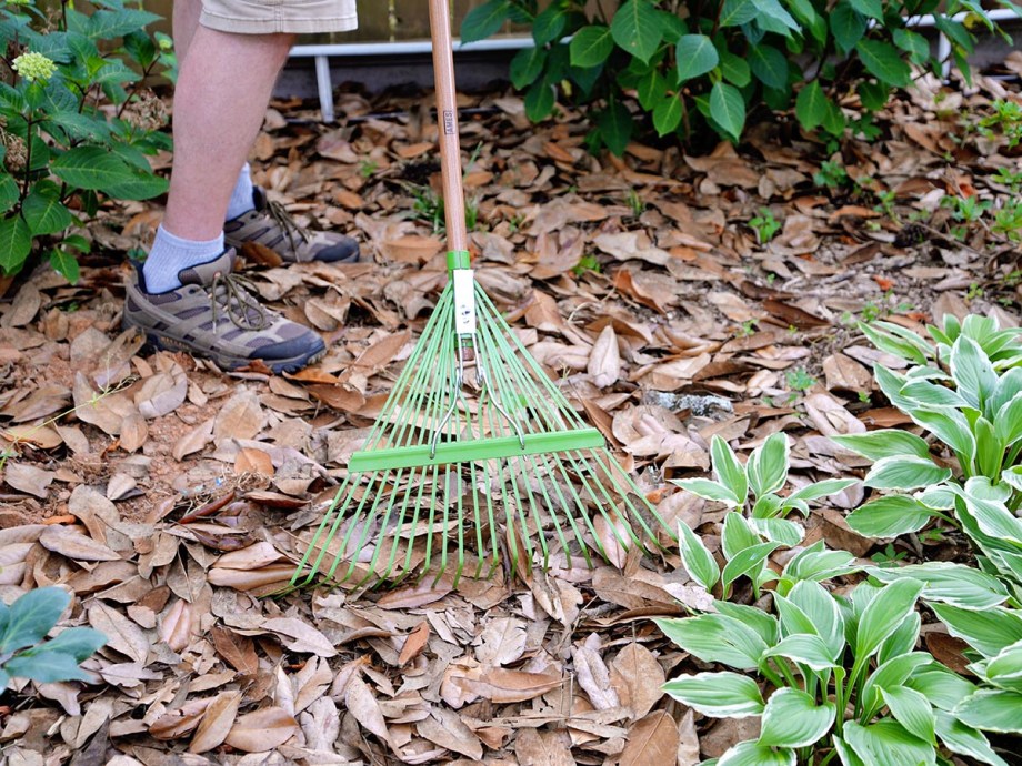 The Best Leaf Rakes to Keep Your Yard Beautiful, Tested