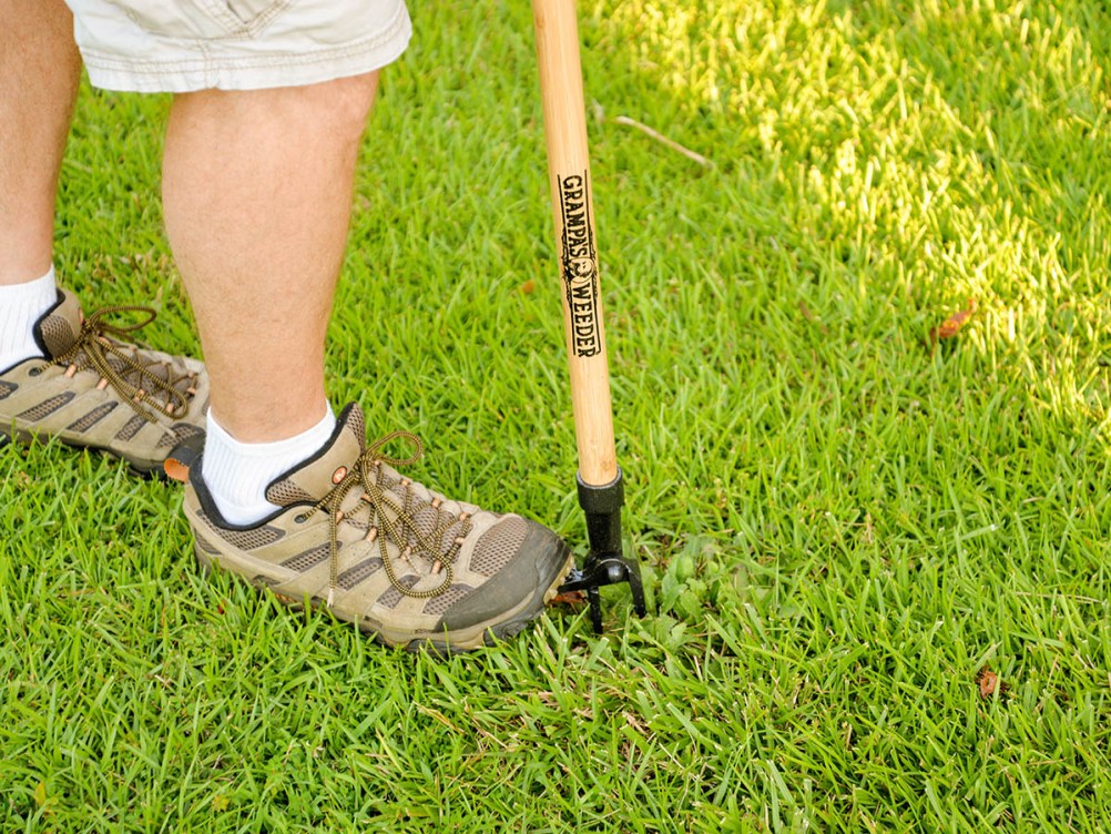 The Best Weeding Tools - Tested by Bob Vila