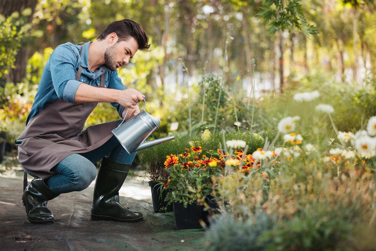 The Best Watering Cans - Picks from Bob Vila