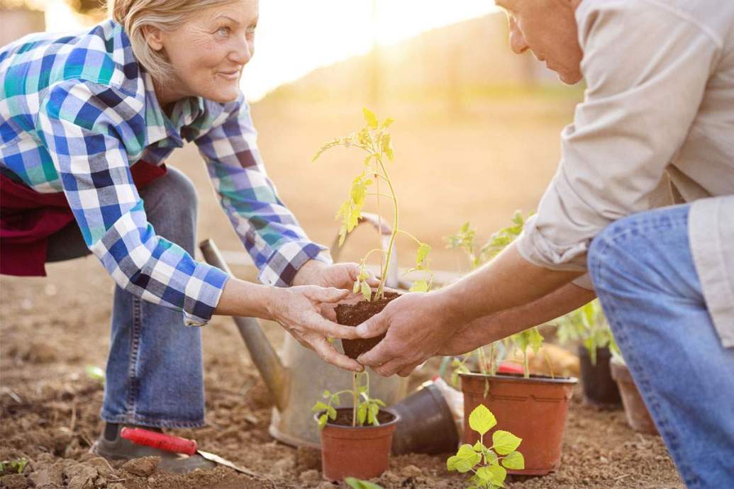 Why Everyone Should Plant a Victory Garden This Year (and How to Do It ...