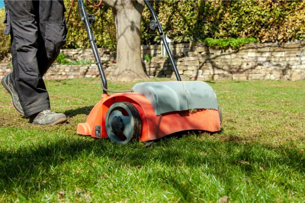 When to Dethatch a Lawn, and Which Tools to Use for the Job