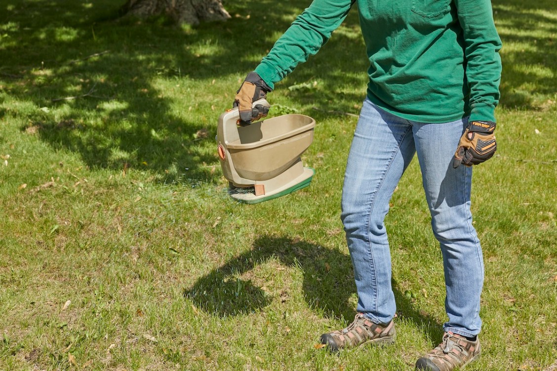 This Is When to Dethatch a Lawn, and Which Tools Work Best