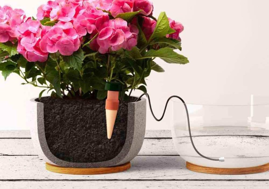 The Best Automatic Plant Waterers for Your Container Garden - Bob Vila