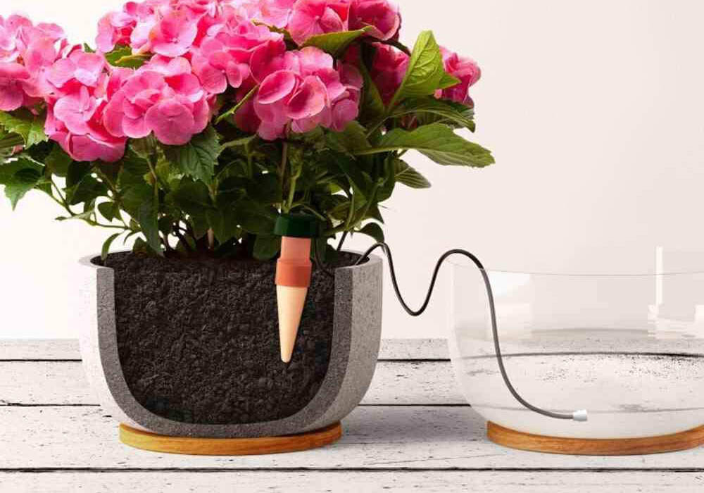 The Best Automatic Plant Waterers for Your Container Garden - Bob Vila