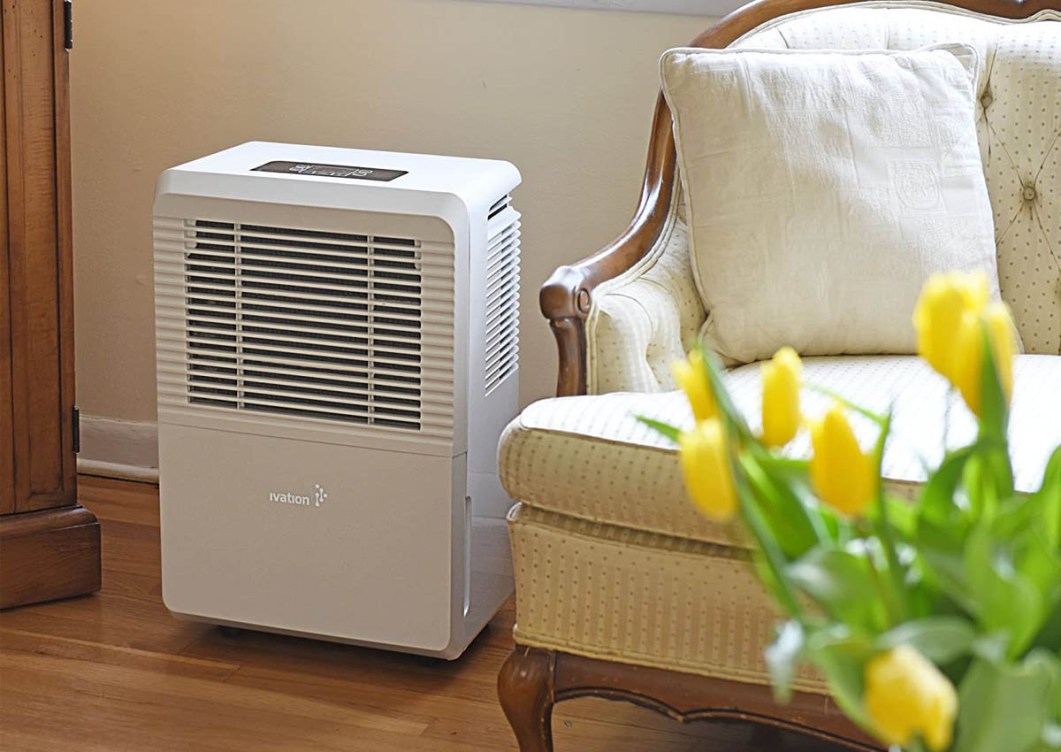 The Best Dehumidifiers - Picks from Bob Vila