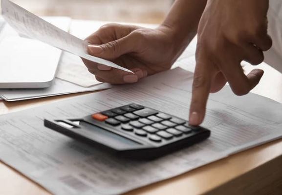 What Are Mold Mites? Everything To Know About These Mold-Eating ...