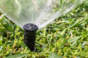 How to Replace a Sprinkler Head on an In-Ground Sprinkler System