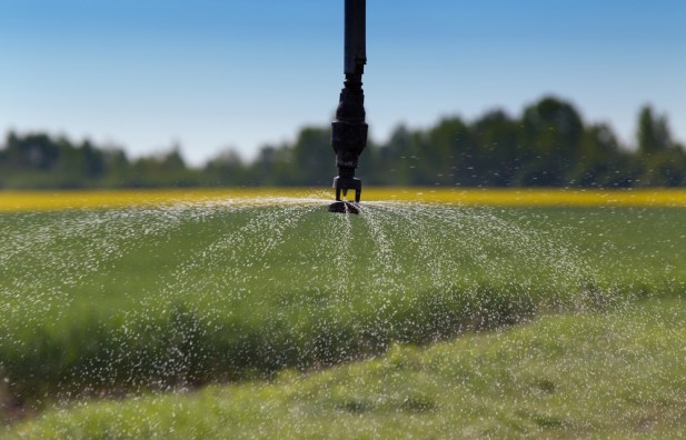 The Best Drip Irrigation Systems, Reviewed and Ranked