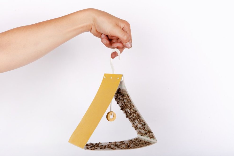 The Best Fly Traps of for Dealing with Pests, Vetted