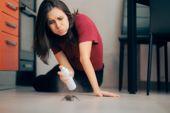 The Best Spider Killers of 2024 - Top Picks from Bob Vila
