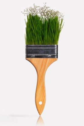 Eco-Friendly Paint: 10 Options for the Home - Bob Vila