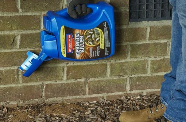 The Best Termite Treatments, Vetted - Top Picks by Bob Vila