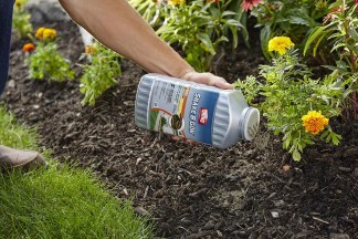 The Best Snake Repellents, Vetted - Top Picks by Bob Vila