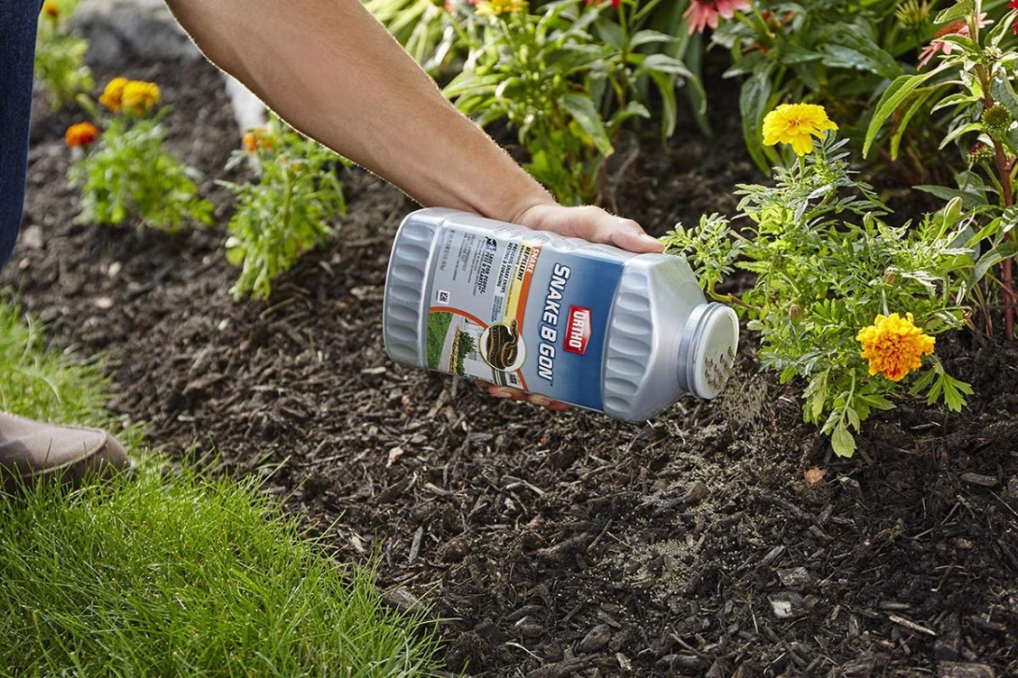 The Best Snake Repellents, Vetted - Top Picks by Bob Vila