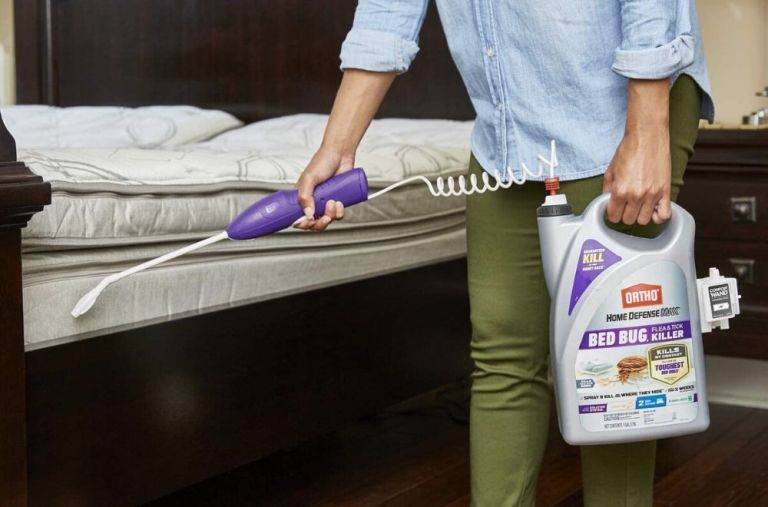The Best Bed Bug Sprays for DIY Pest Control