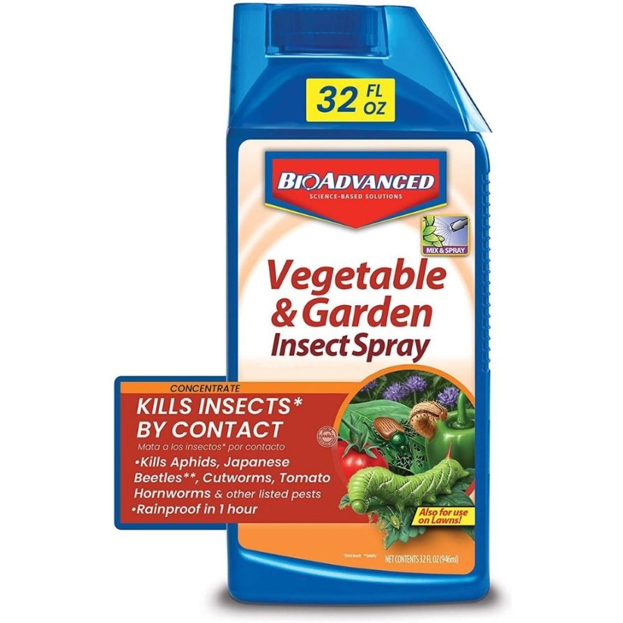 The Best Insecticide for Vegetable Gardens - Bob Vila