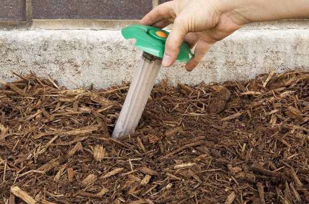 The Best Termite Treatments, Vetted - Top Picks by Bob Vila