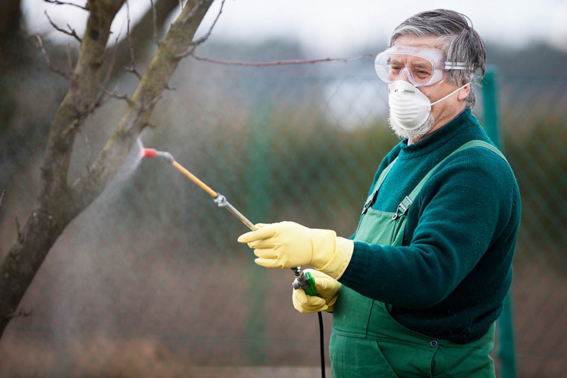 When Is the Best Time of Year to Spray Fruit Trees? - Bob Vila