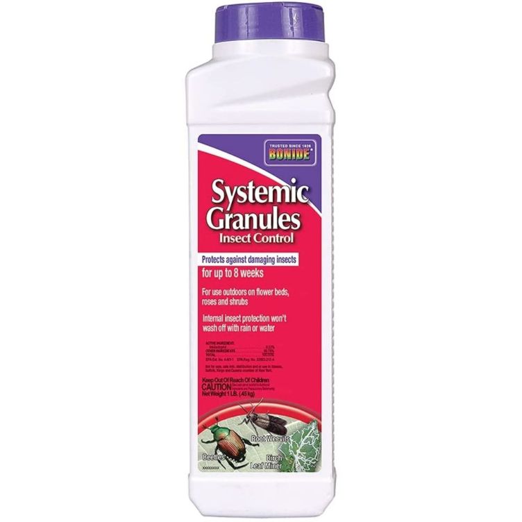 The Best Termite Treatments, Vetted - Top Picks by Bob Vila