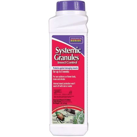 The Best Termite Treatments, Vetted - Top Picks by Bob Vila