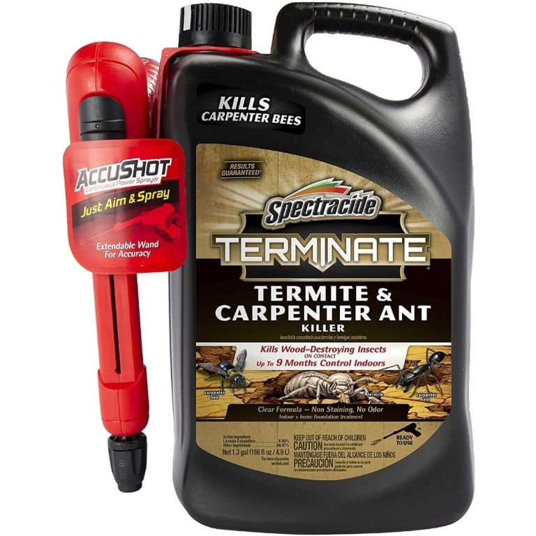 The Best Termite Treatments, Vetted - Top Picks by Bob Vila