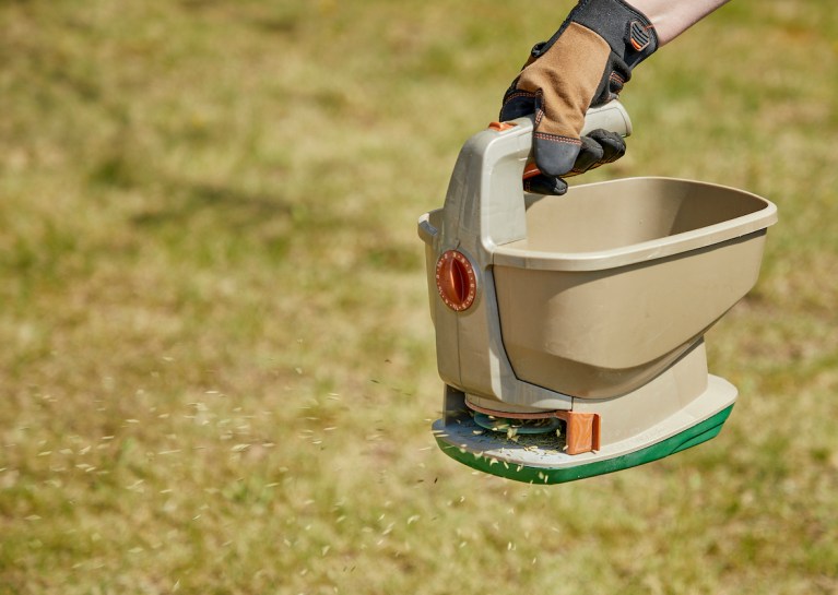 How Often Should You Mow the Lawn? - Bob Vila