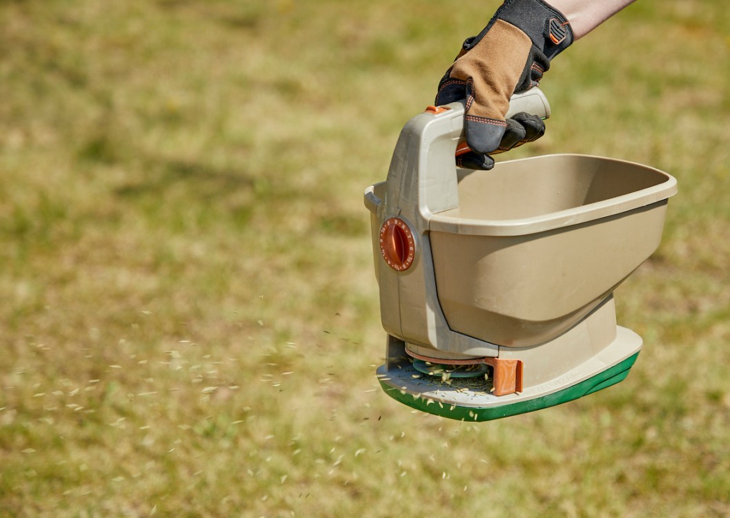 How to Overseed a Lawn: A Step-by-Step Guide
