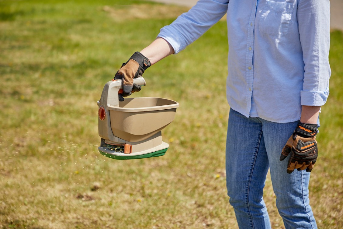 How to Overseed a Lawn | Step-by-Step Instructions - Bob Vila