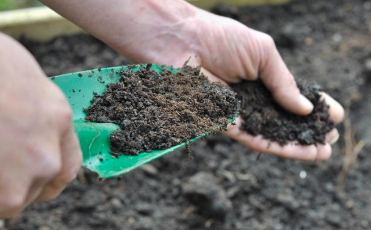 How to Overseed a Lawn | Step-by-Step Instructions - Bob Vila