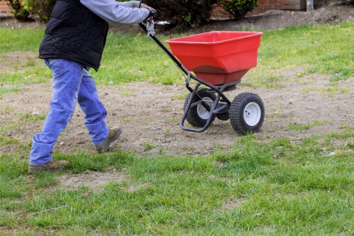 How to Overseed a Lawn | Step-by-Step Instructions - Bob Vila