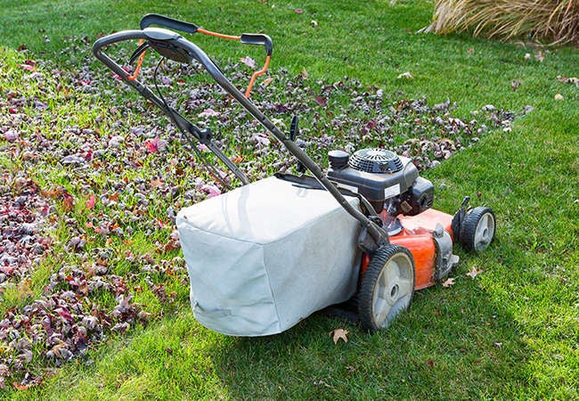 The Best Things You Can Do for Your Yard This Fall - Bob Vila