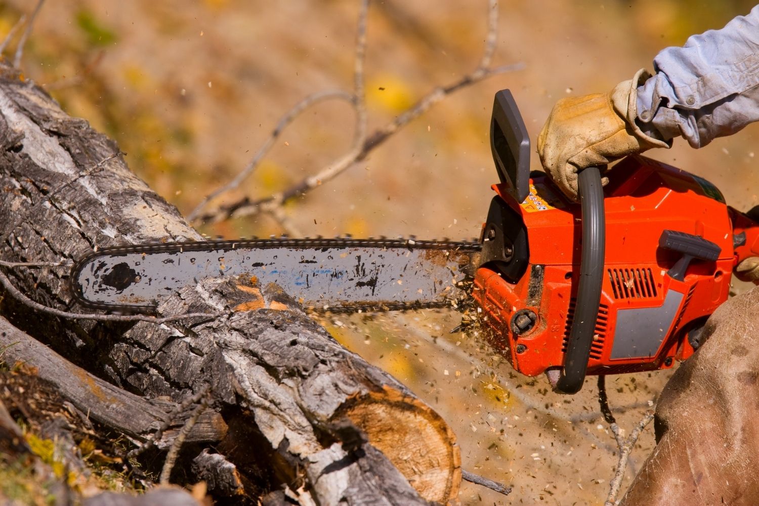 The Best Chainsaw Chains for DIY Homeowners - Bob Vila