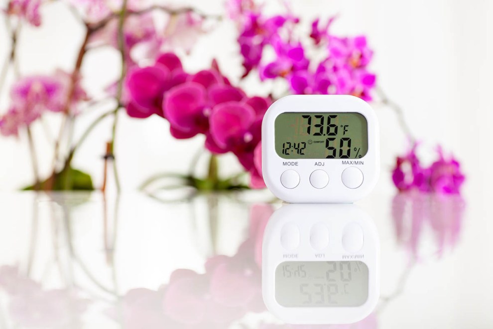 The Best Hygrometers for Measuring the Humidity in Your Home - Bob Vila